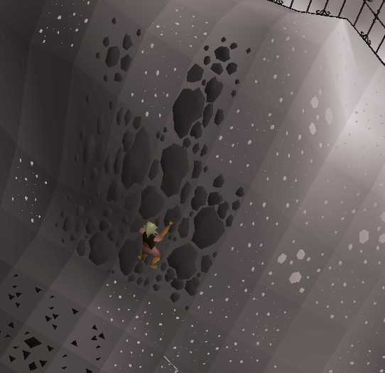 Wilderness Agility Course - Roat Pkz